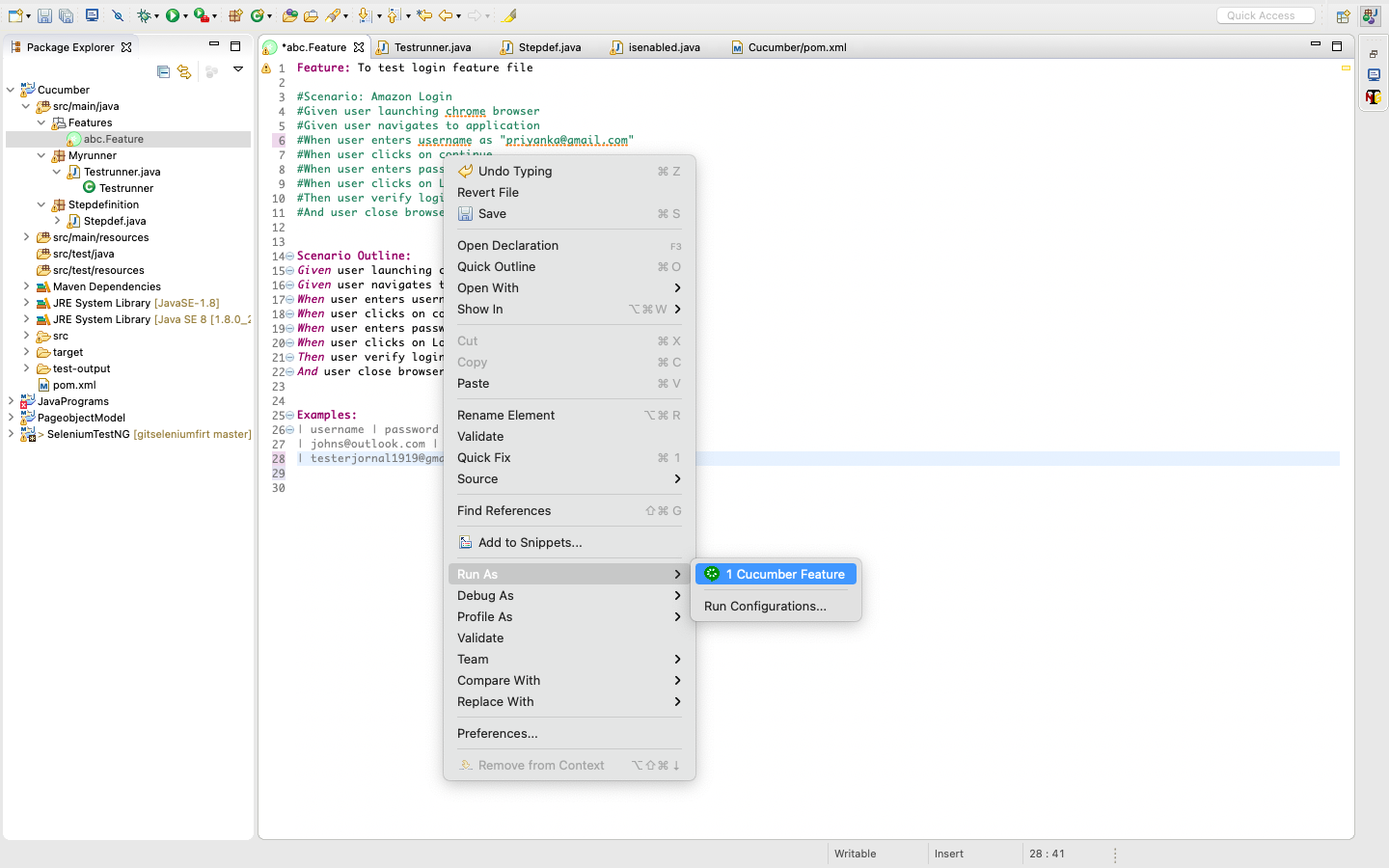 Cucumber - Execution of test cases and reporting