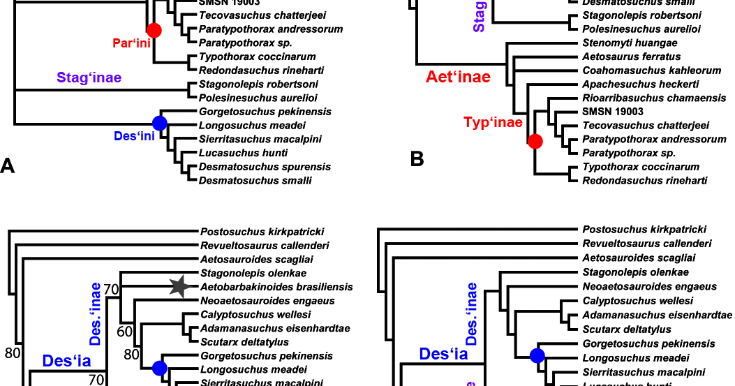 The Genealogical World of Phylogenetic Networks: Rogue dinosaurs, an ...
