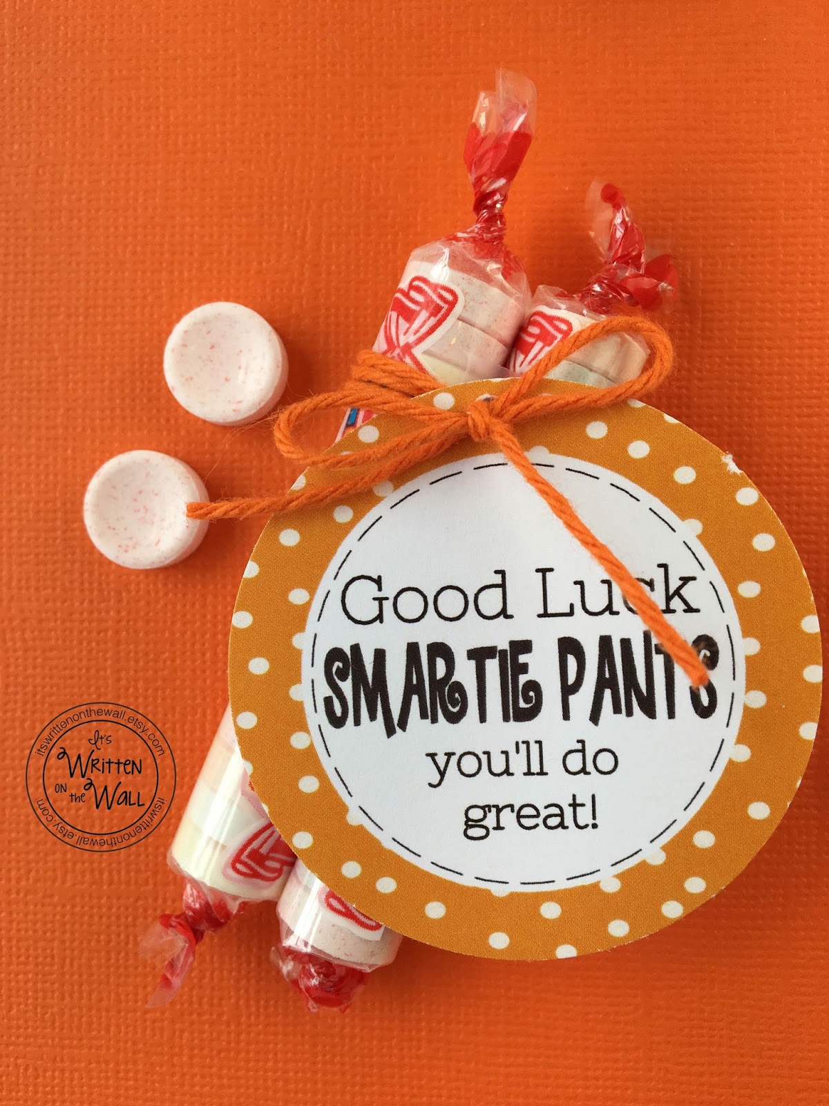 It's Written on the Wall: Good Luck Smartie Pants-Slip into the Kid's ...
