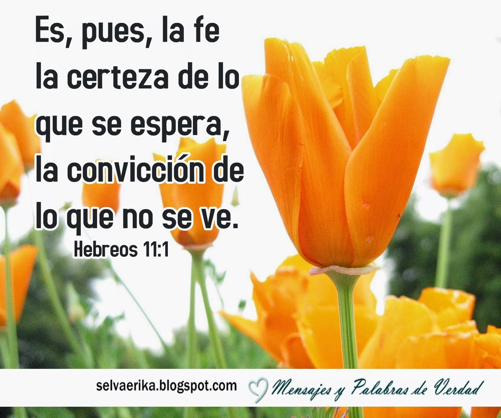 Mensajes y Palabras de Verdad: Imagenes con una Palabra Poderosa ...