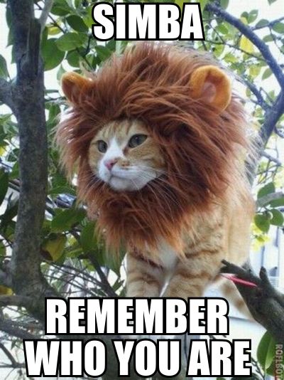 Simba - Please Remember Who You Are | Funpicc