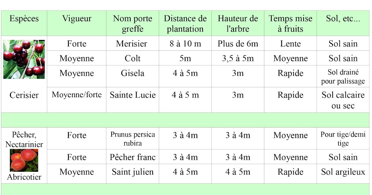 Les secrets de la taille et de la greffe des arbres fruitiers bio : Les ...