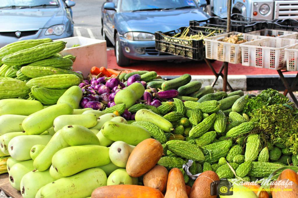 Discover Cameron Highlands