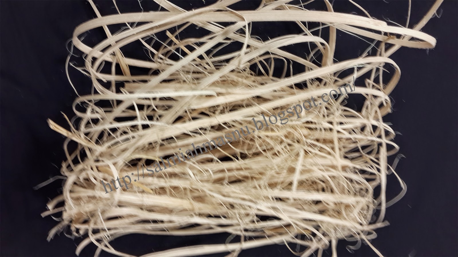 EKPLORASI BAHAN PEWARNA KE ATAS SERAT ROTAN