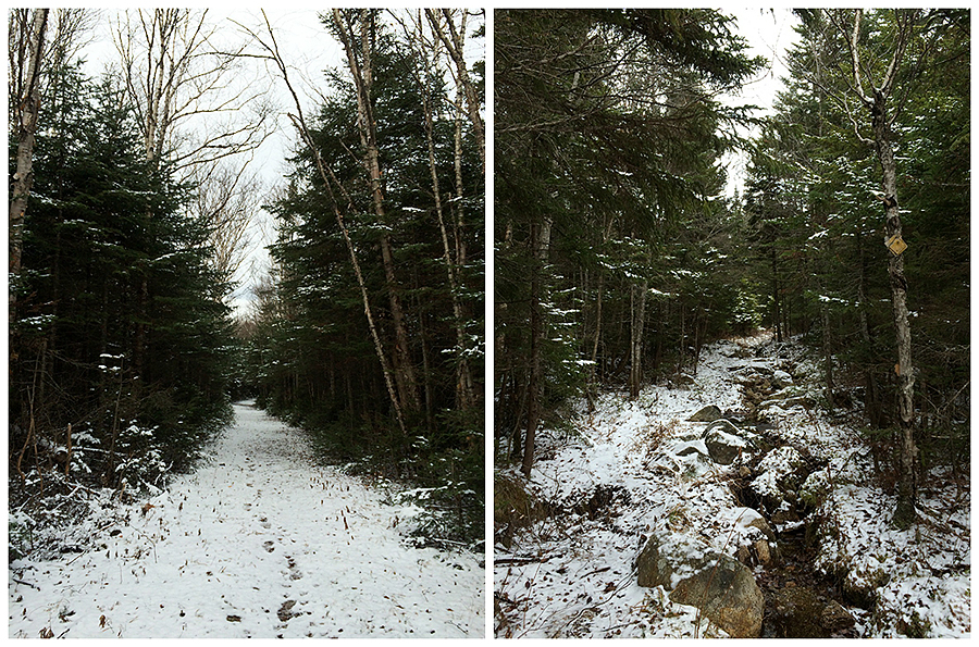 Hiking in the White Mountains: Livermore Pass and the Old Town of ...