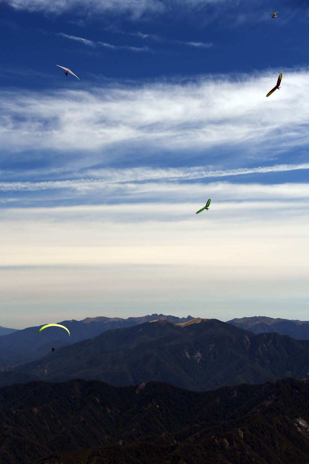New Zealand Hang Gliding Competitions: 2019 Gallery