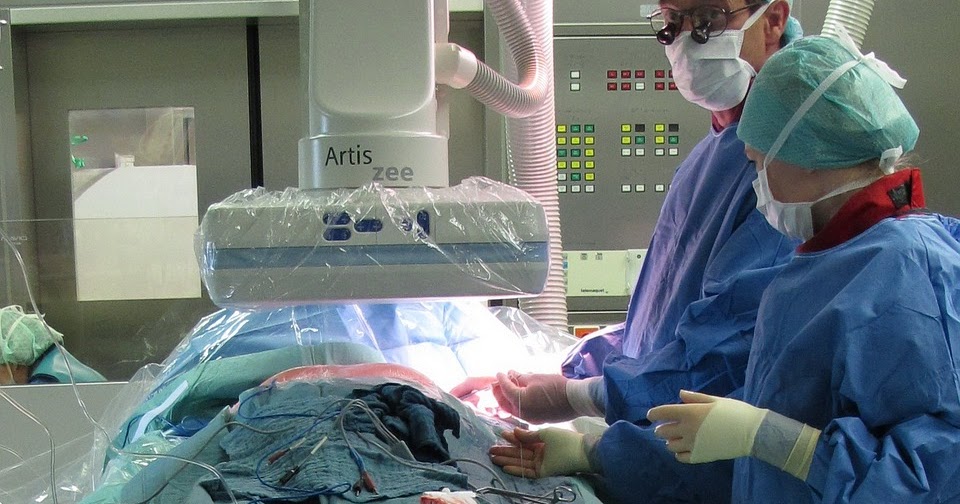 Difteri Disebabkan Oleh Bakteri Corynebacterium Diphtheriae | Tips ...