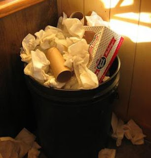 chem-is-fum dery's blog: Kurangi Penggunaan Tissue