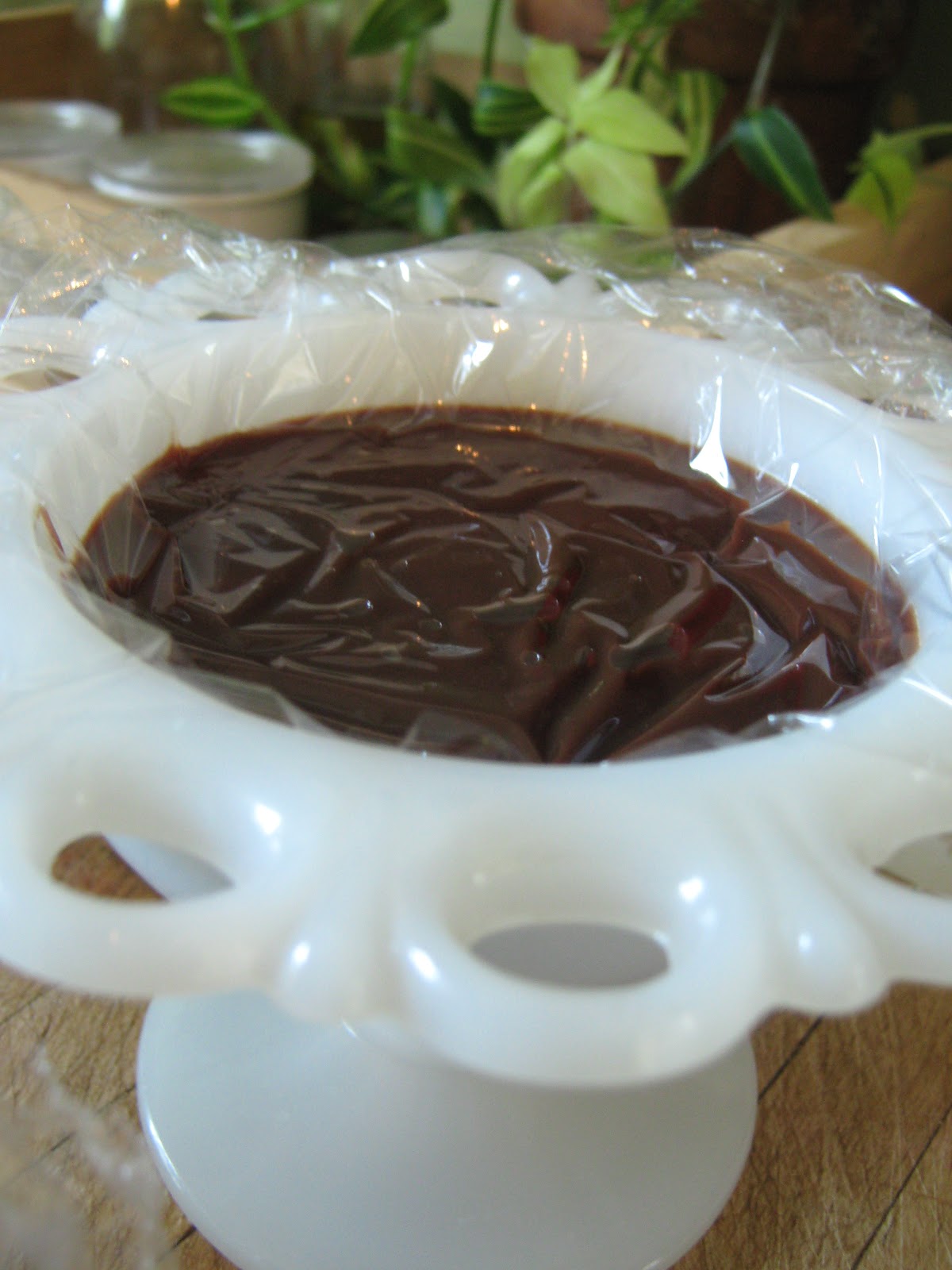 Rindy Mae: Coconut Chocolate Pudding