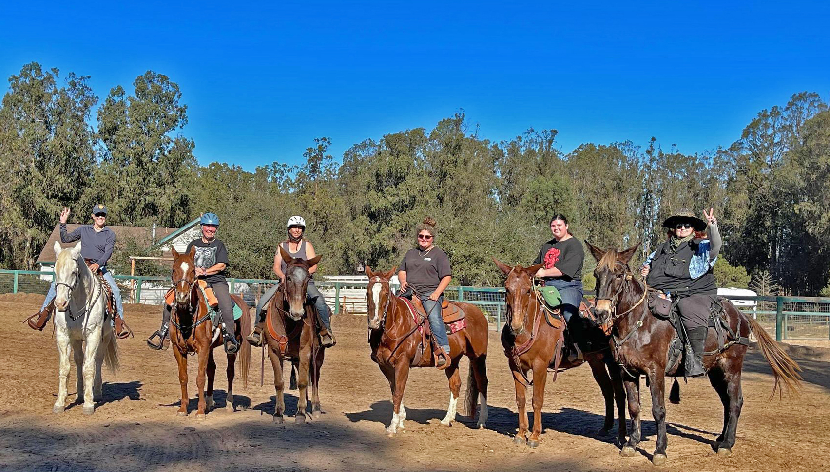 Mule Trail Ride: Nipomo Mesa - edhat