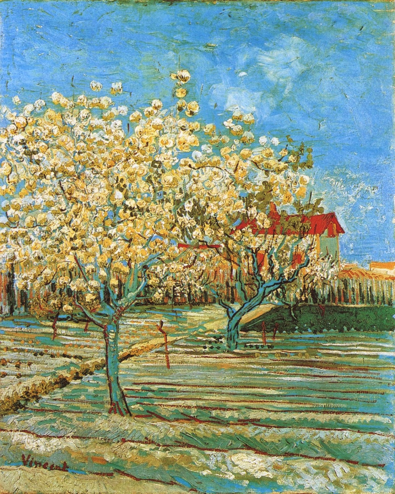 Vincent van gogh 98 ~ High resolution Art photos museum quality images
