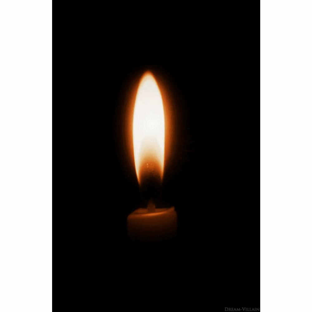 The Wellbeing Nizou Scented Candles The Wellbeing Nizou Scented Candles