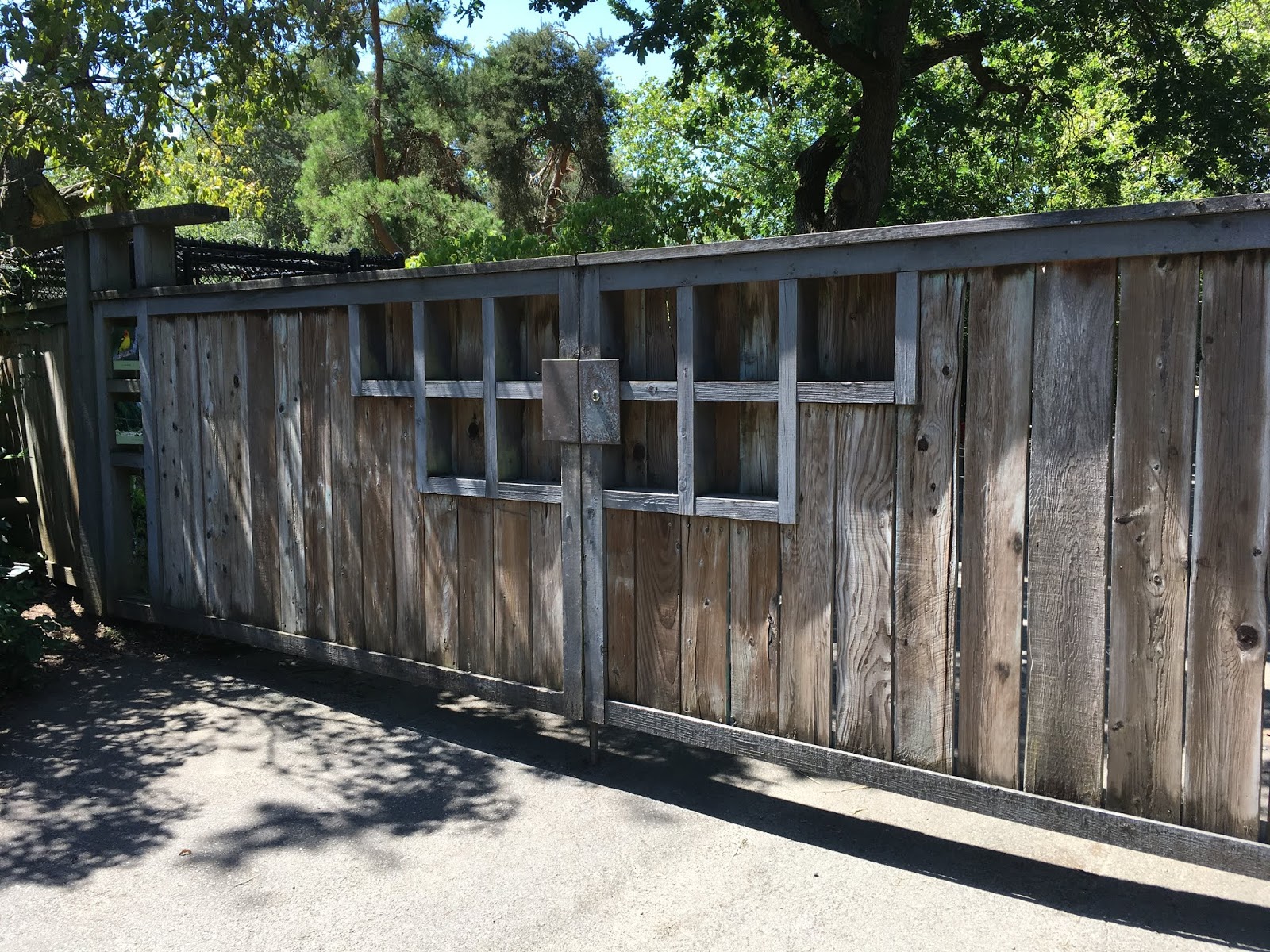 Our Exhibits Crew: Making Our Green Wishes Come True!