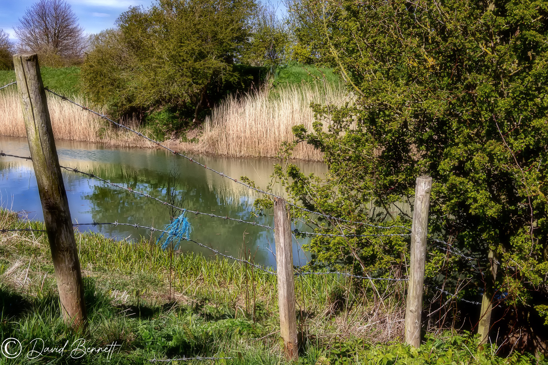Lincolnshire Cam: Tetney Lock.