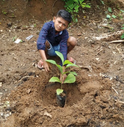 Plant A Tree Challenge - Photogallery - Library - Kendriya Vidyalaya ...