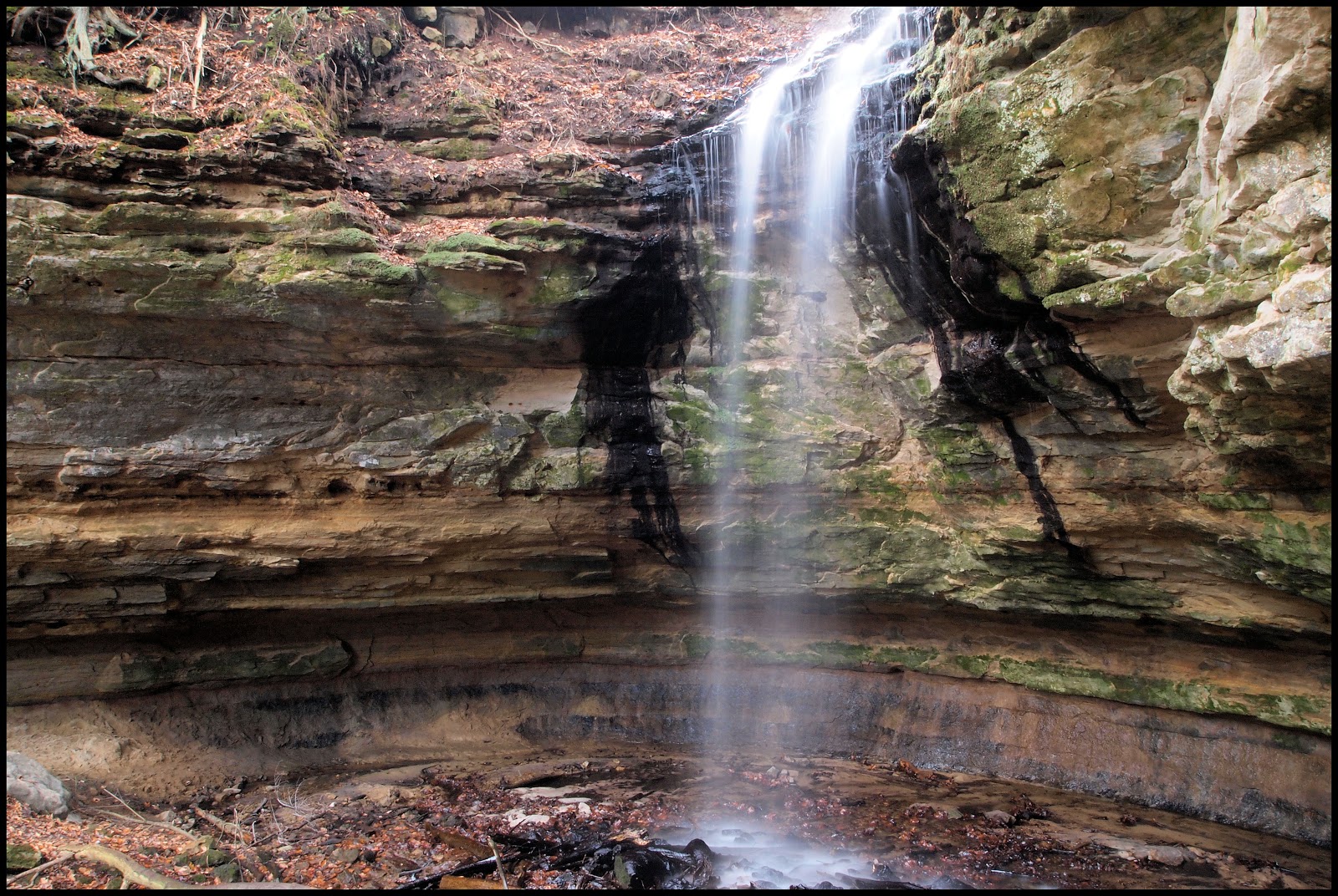 Random Camera Blog: Fast Fall Frenzy