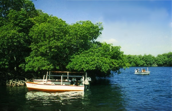 Margarita Eco Turistica: PARQUE NACIONAL LAGUNA DE LA RESTINGA