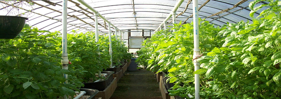 Modern farming methods - Farmland