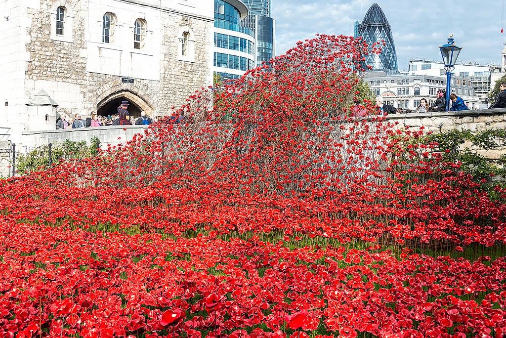 The Tower of London Poppies: Blood Swept Lands and Seas of Red ~ Kuriositas