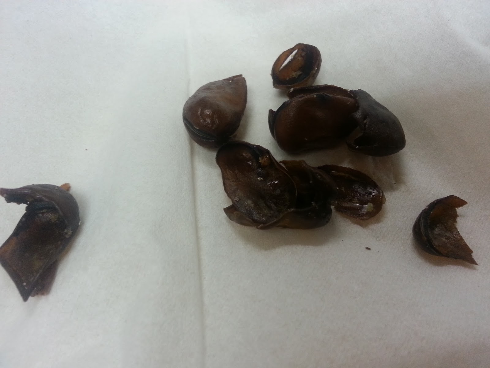 Aku Parang Kang!!!! ~ SURIA AMANDA