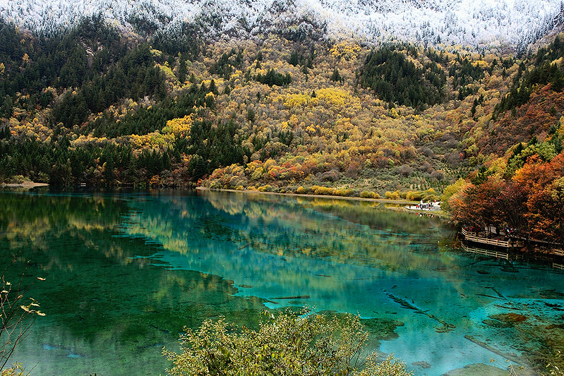 Five Flower Lake – Jiuzhaigou