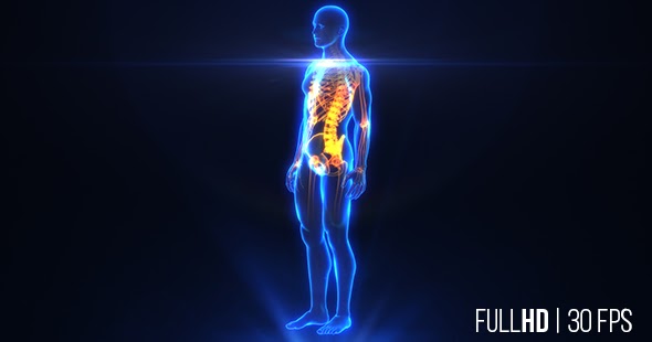 3d Body Scanning