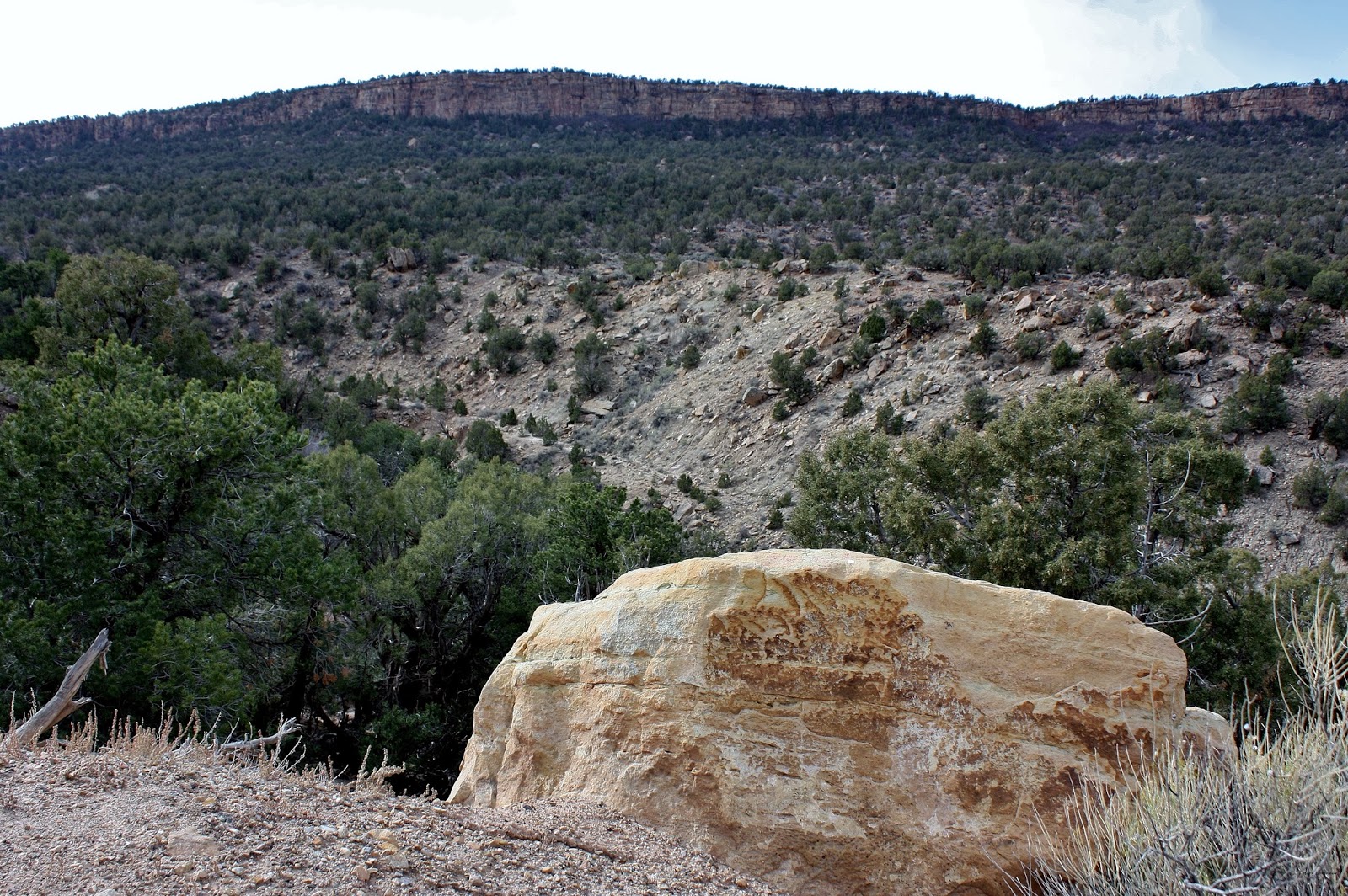 The Southwest Through Wide Brown Eyes: Just Another Curiosity Near ...