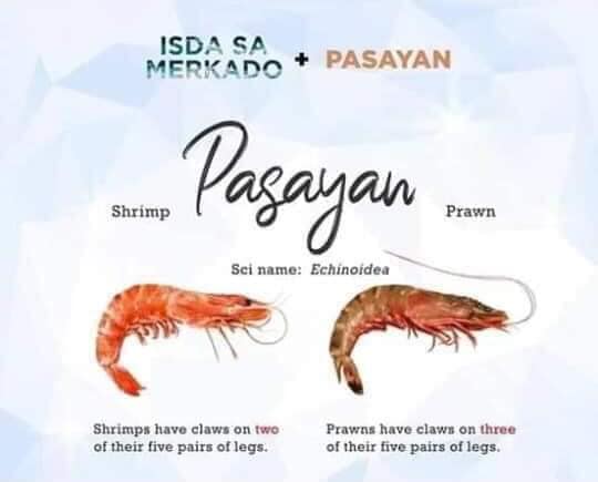 Ibat-Ibang Klase ng Isda at Iba Pang Laman-Tubig na Karaniwang Mabibili ...