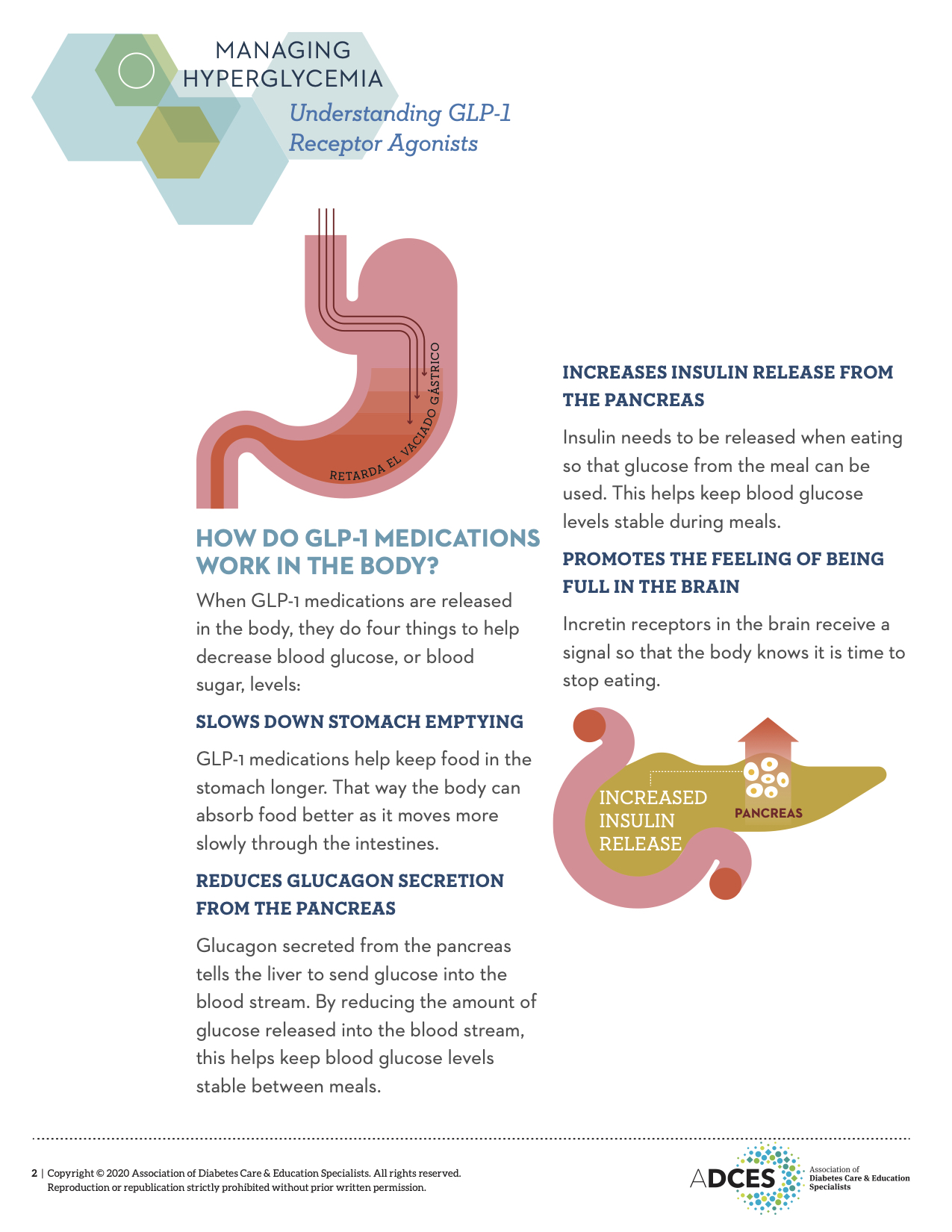 Diabetes Medication: GLP-1 Agonists