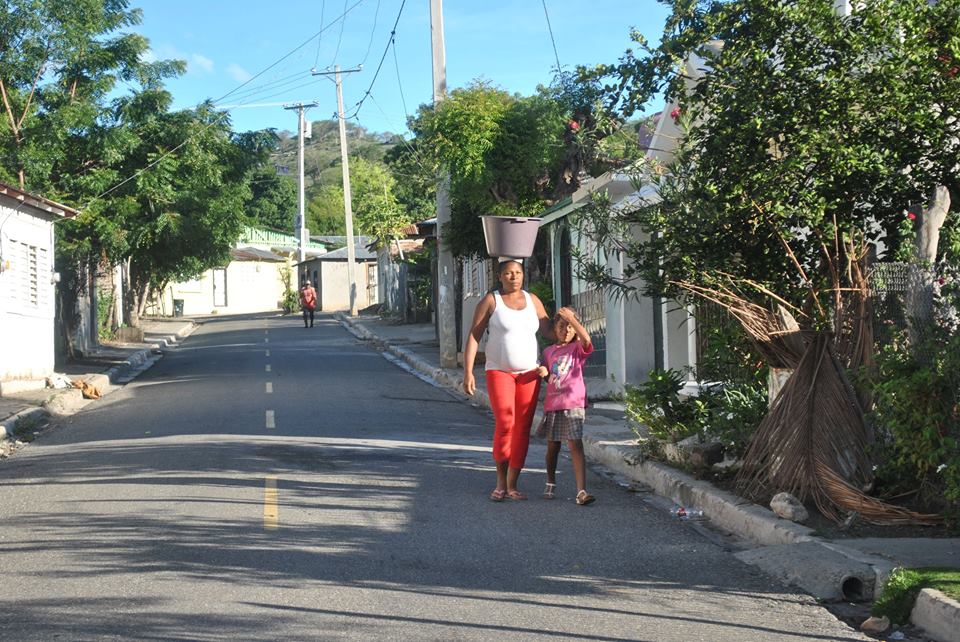 La marchanta en Bohechío