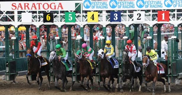 ThoroFan Blog: Handicapper's Corner: Forego Stakes (G1)