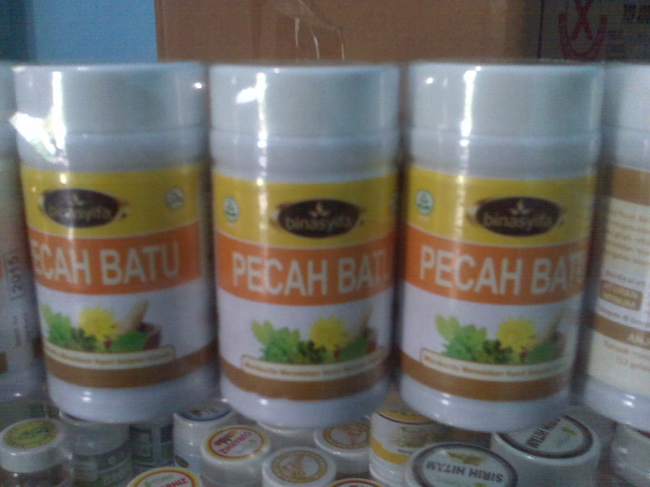 obat batu ginjal | Toko obat herbal tanpa efek samping obat batu ginjal | Toko obat herbal tanpa efek samping