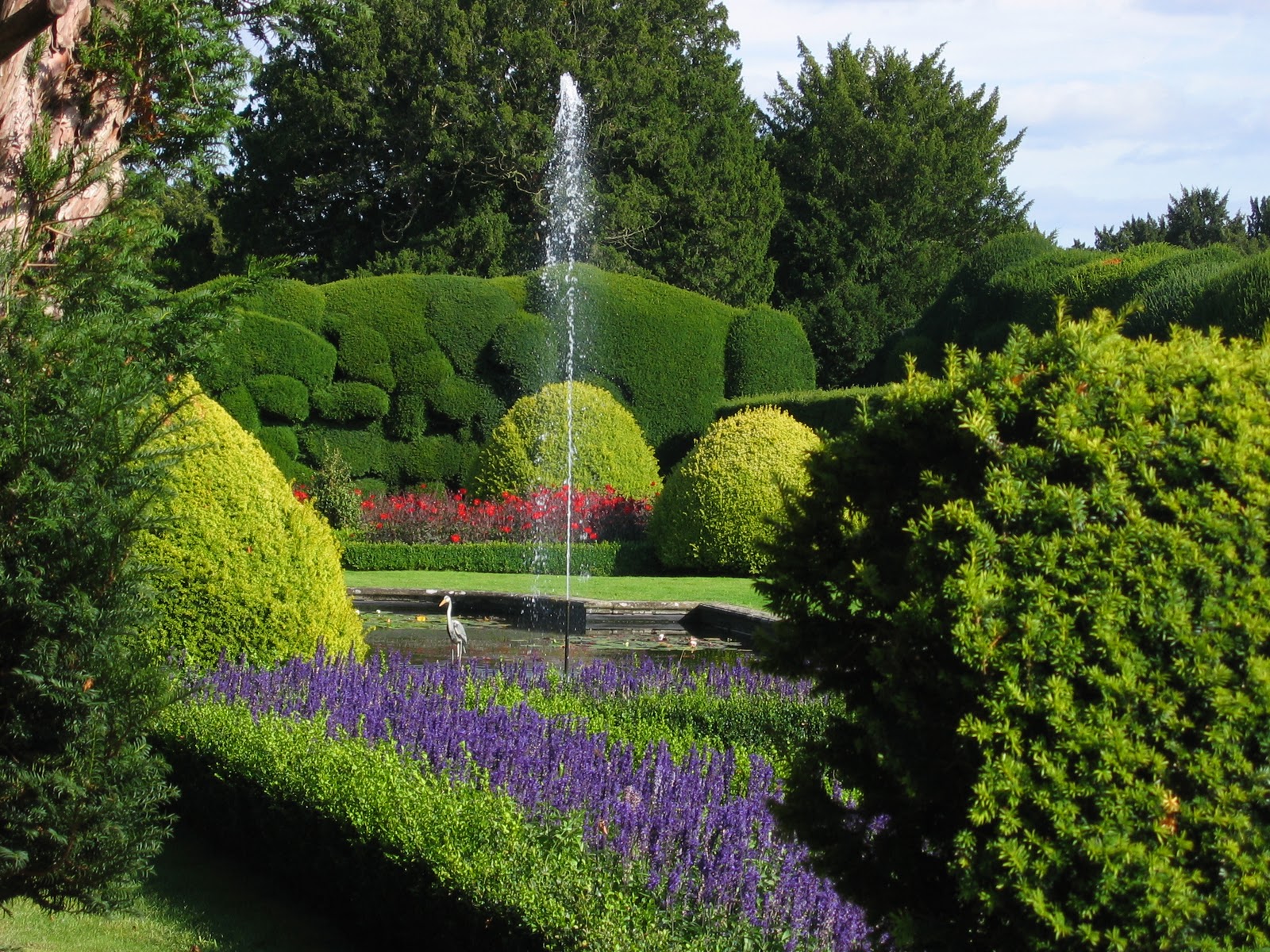 Beautiful gardens - Wonderful