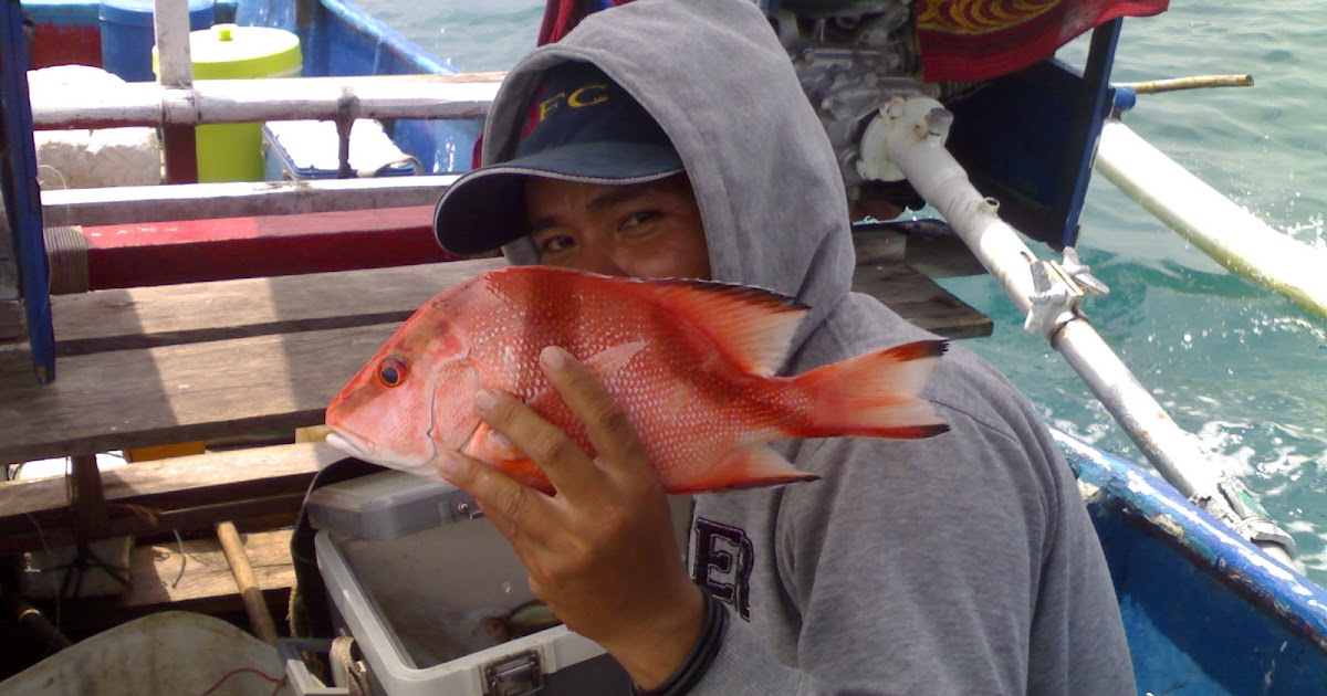 Suka Mancing? Hobi Mancing? Why do you like fishing?