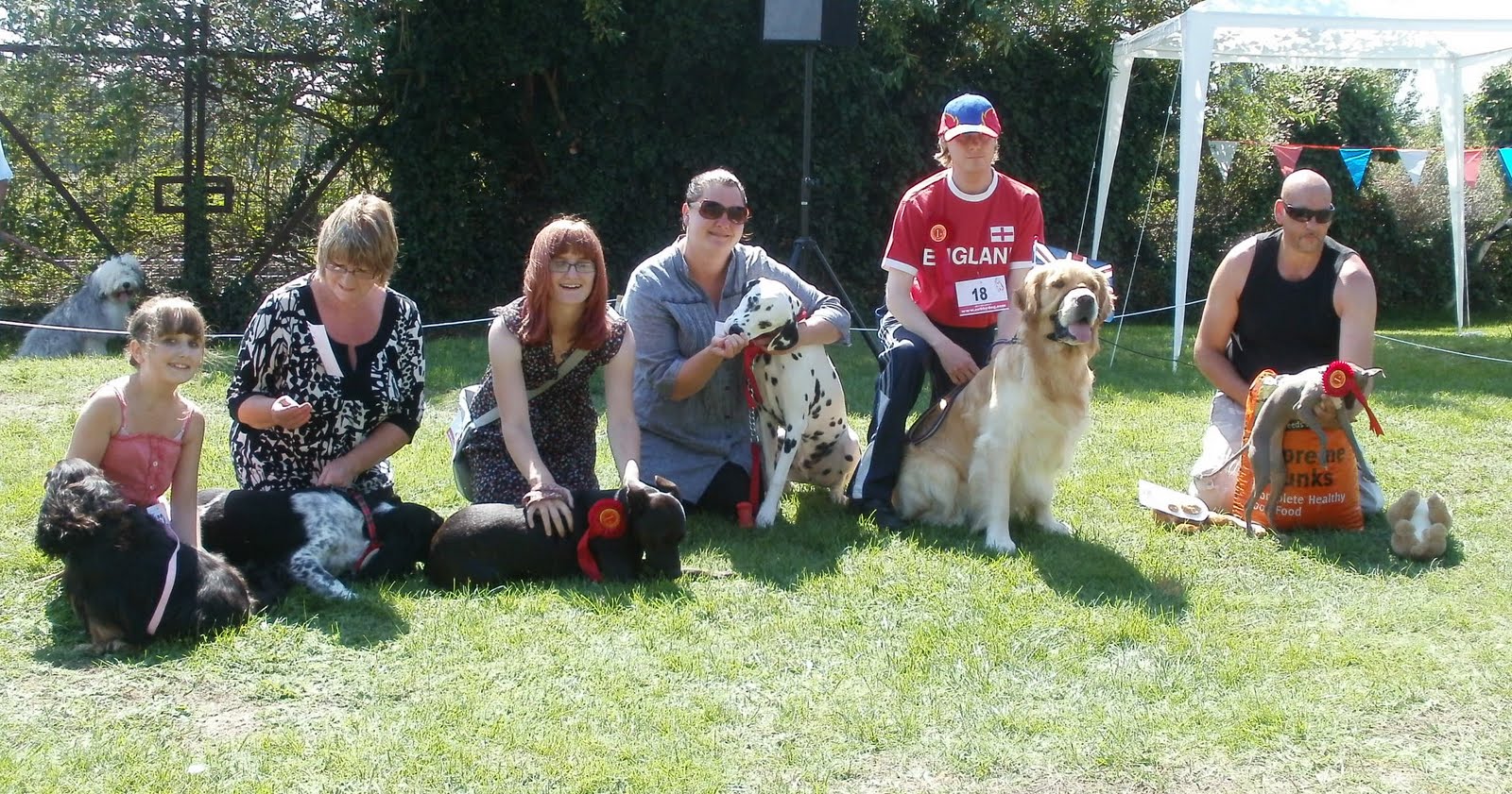 Practice Newsletter: The Great British Dog Show