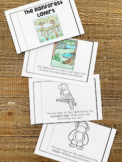 Rainforest ELA Unit for Kindergarten and 1st Grade | Busy Hands and Minds