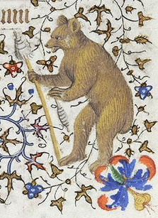 La Toile à Nolwenn: L'ours au Moyen Age : la fin du règne