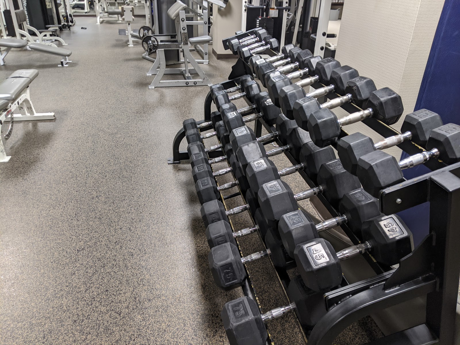 Quick gym review: Flamingo Hotel fitness center