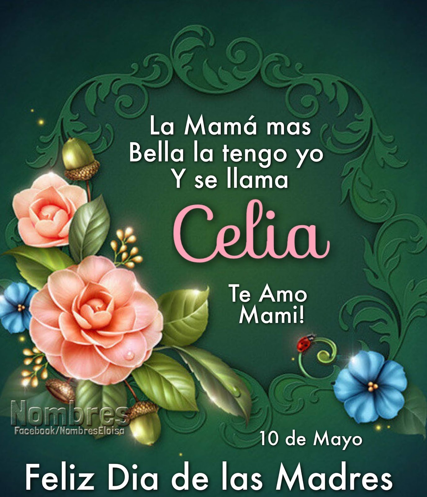 La mamá mas bella la tengo yo