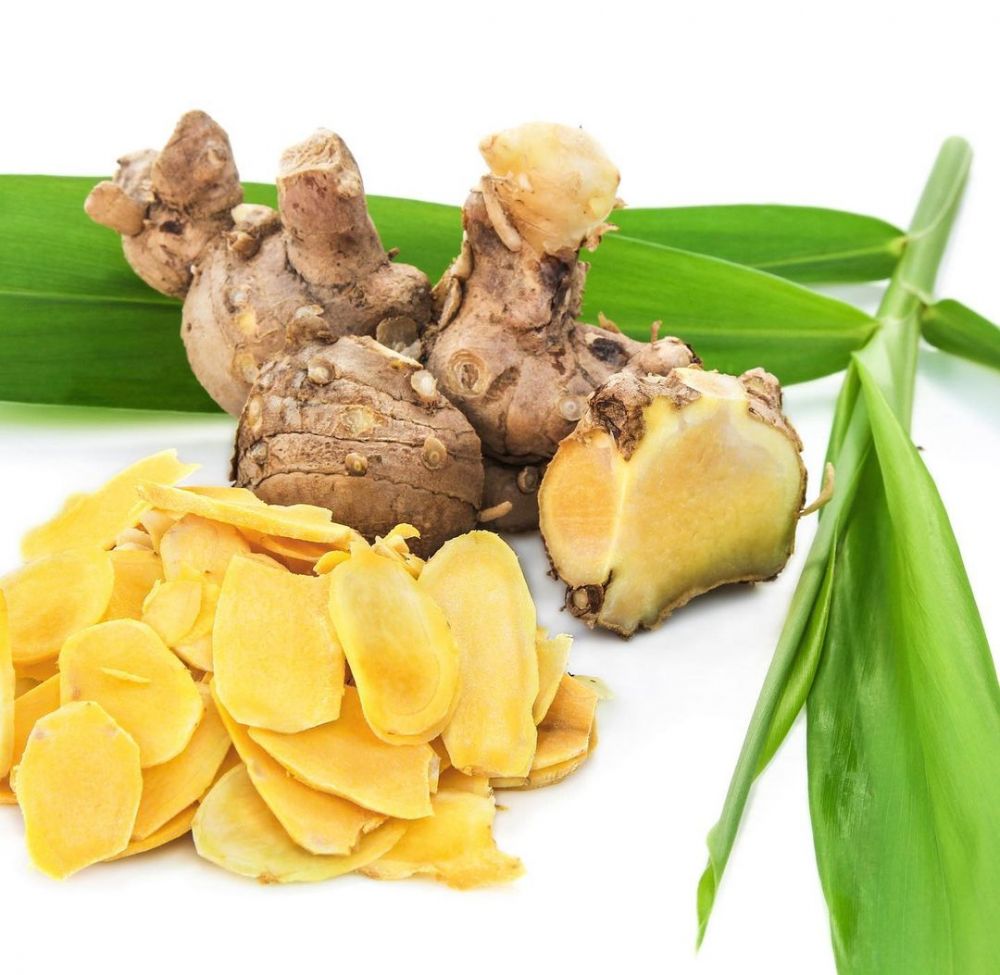 Ada 7 Tanaman obat jenis rimpang beserta manfaatnya untuk tubuh kita