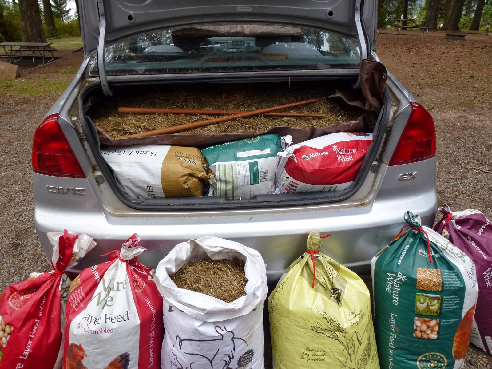 Wild Harvests: October 2013