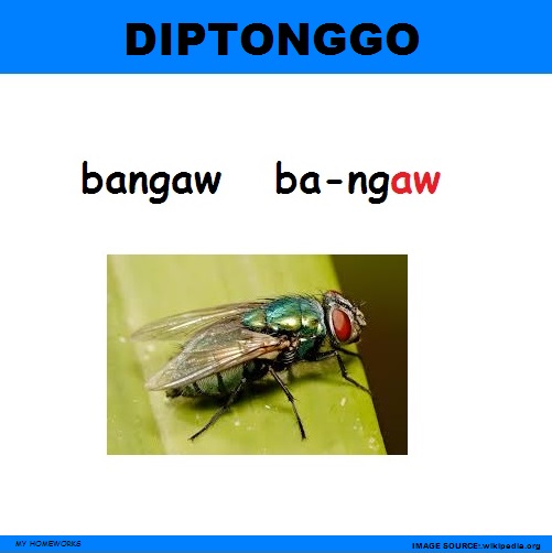 My Homeworks: DIPTONGGO-bangaw