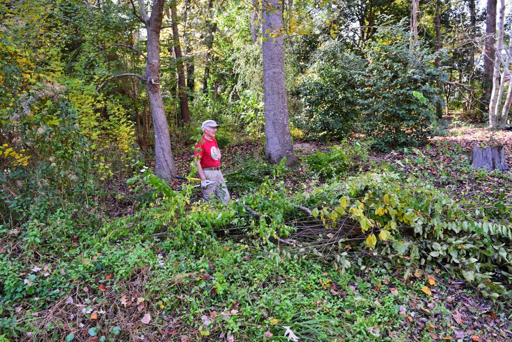MARIETTE'S BACK TO BASICS: {Fall Colors & Clearing the Underbrush}