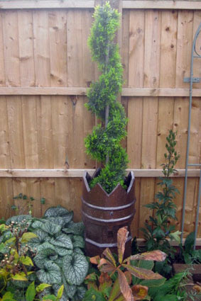 Frugal in Norfolk: Solving a planting problem