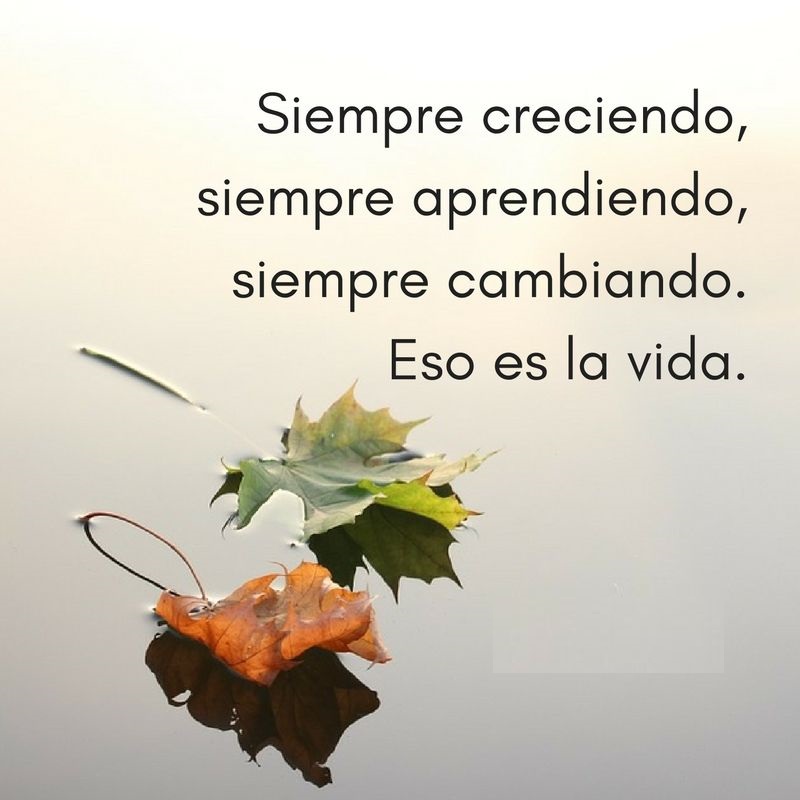 ¡Siempre aprendiendo!: Intercambiar recursos digitales.