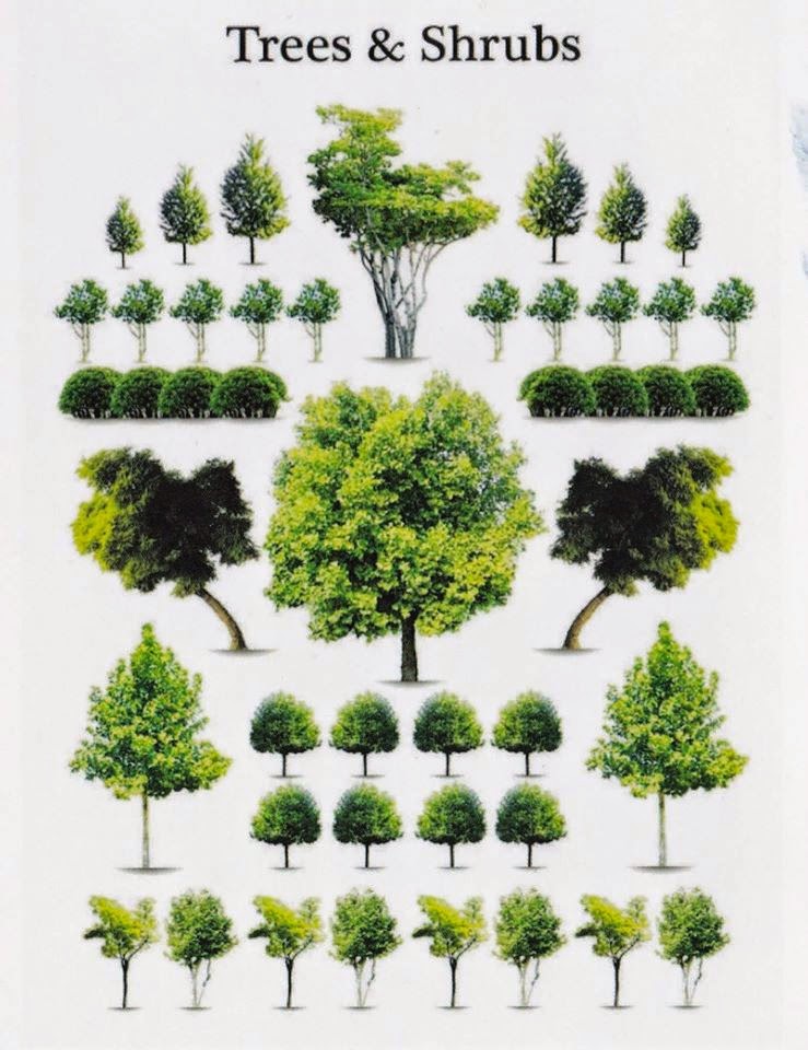 General Picture Group: Multiple of trees & shrubs picture.