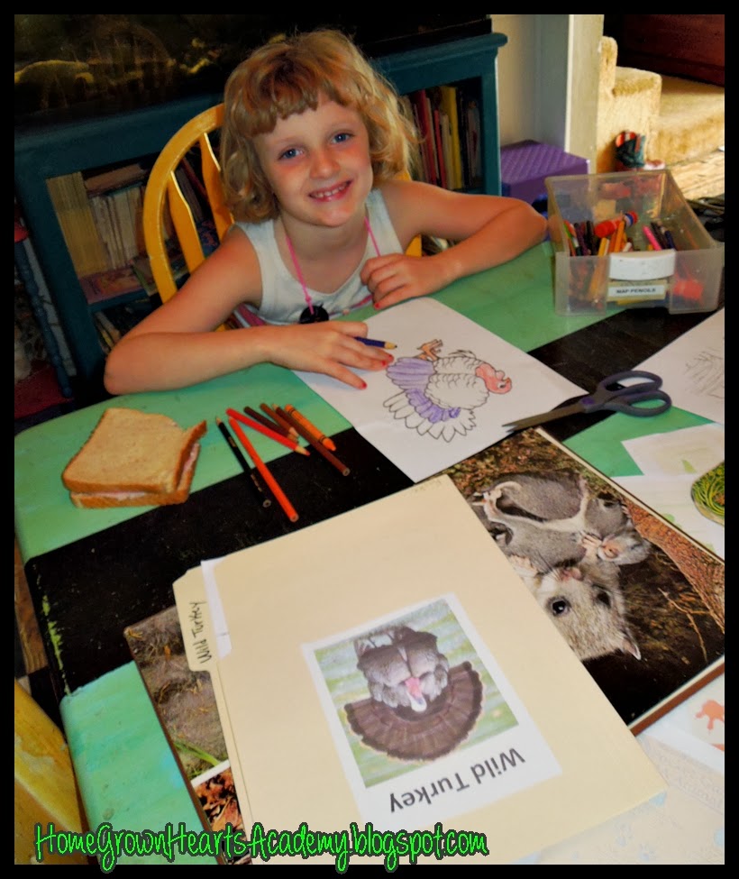 Home Grown Hearts Academy Homeschool Blog: Wild Animals/Nature Unit ...