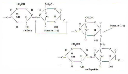 Karbohidrat ~ Blog Kimia MAN 2 Klaten