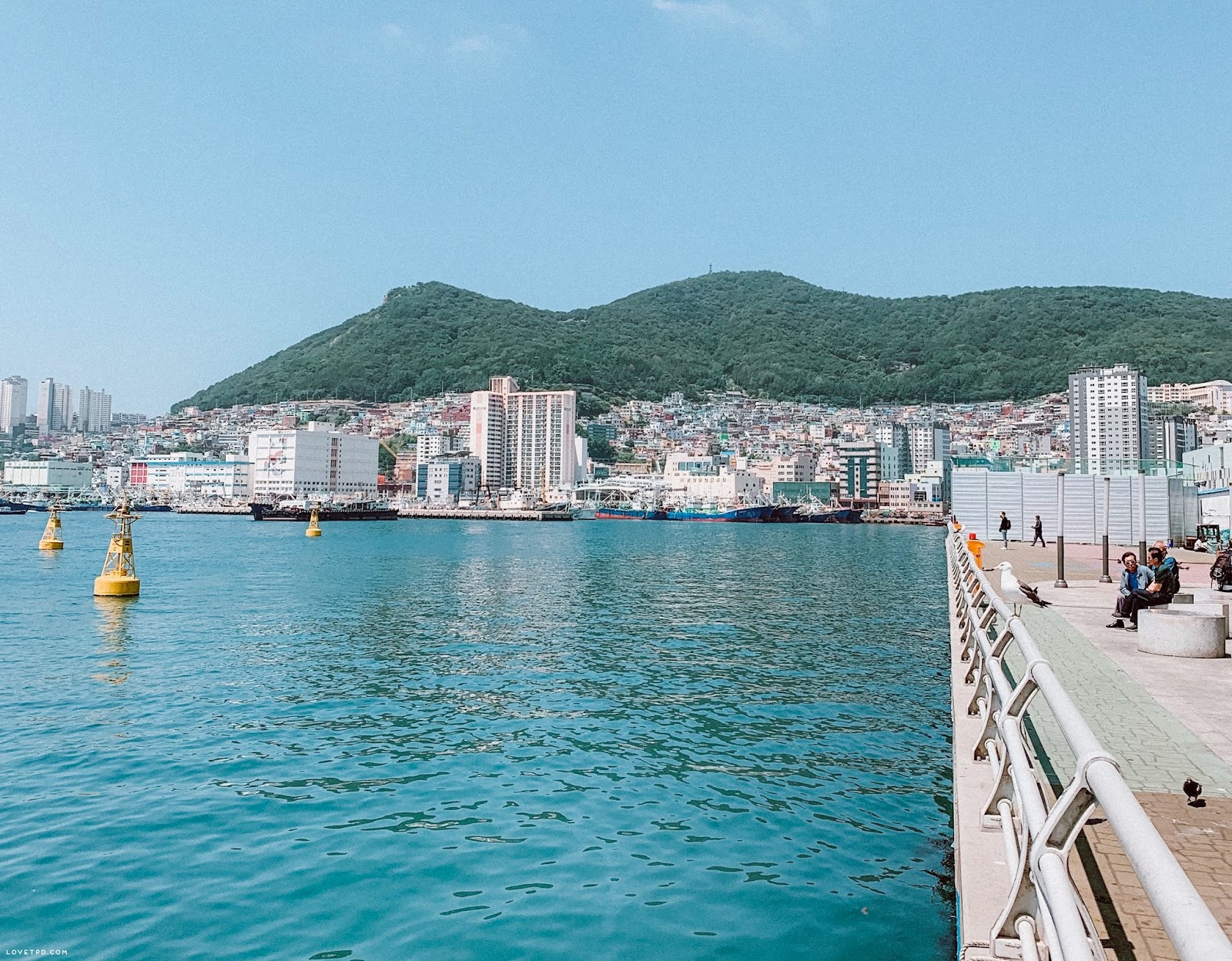 Postcards From Busan - Sundays with Sharon