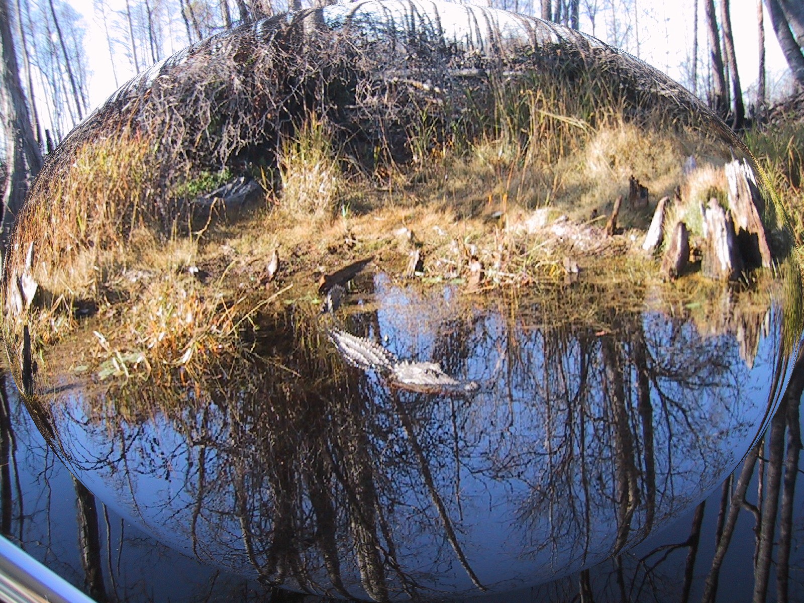 RVing Toadless: WORKAMPING WITHOUT A TOW CAR